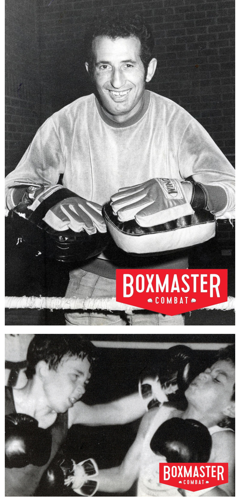Born Into Boxing - Boxmaster Australia